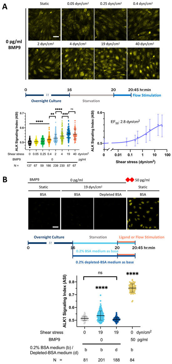 Cells | Free Full-Text | Shear Stress and Sub-Femtomolar Levels of ...