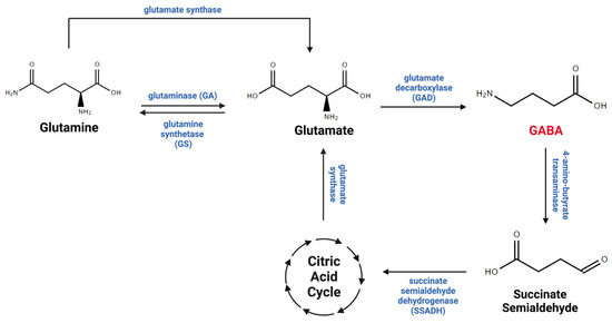 Cells | Free Full-Text | Astrocytic GABAergic Regulation in Alcohol Use and Major Depressive ...