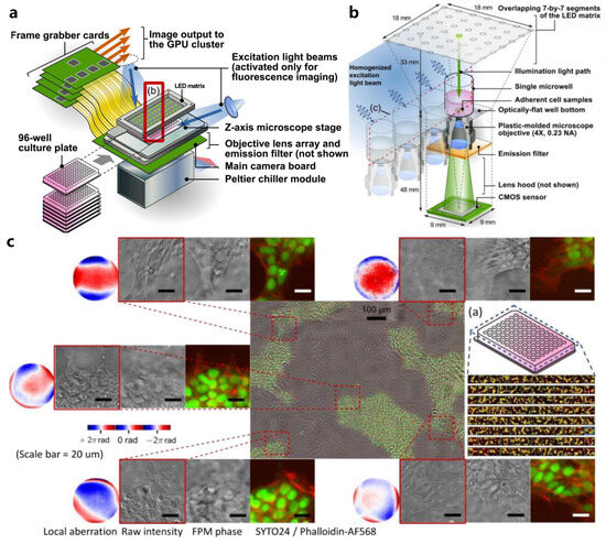 Fourier Ptychographic Microscopy 10 Years on: A Review