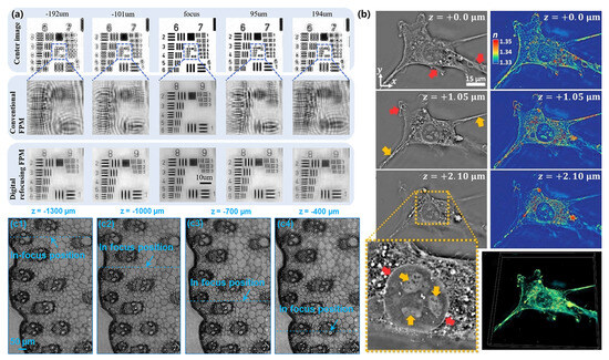Fourier Ptychographic Microscopy 10 Years on: A Review