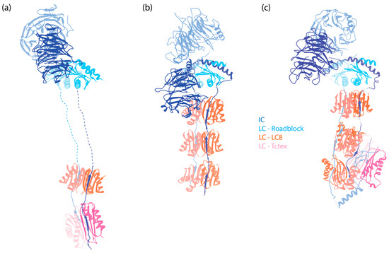 Cells | Free Full-Text | Structure and Function of Dynein’s Non ...