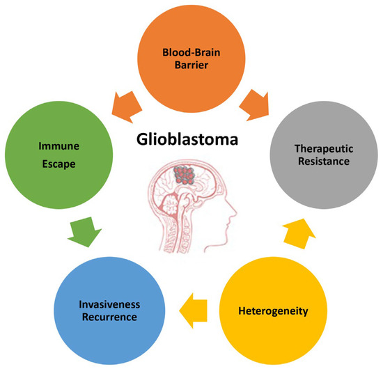 Cells | Free Full-Text | Challenges and Promise for Glioblastoma Treatment through Extracellular ...