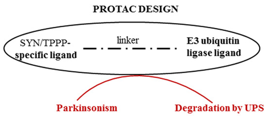 Cells | Free Full-Text | Perspective Strategies for Interventions in ...