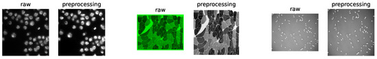 Software Tools for 2D Cell Segmentation
