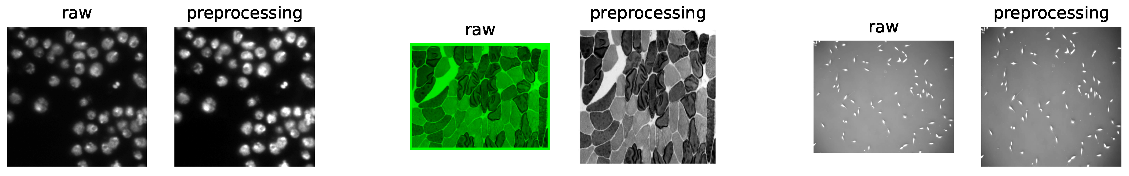 Software Tools for 2D Cell Segmentation