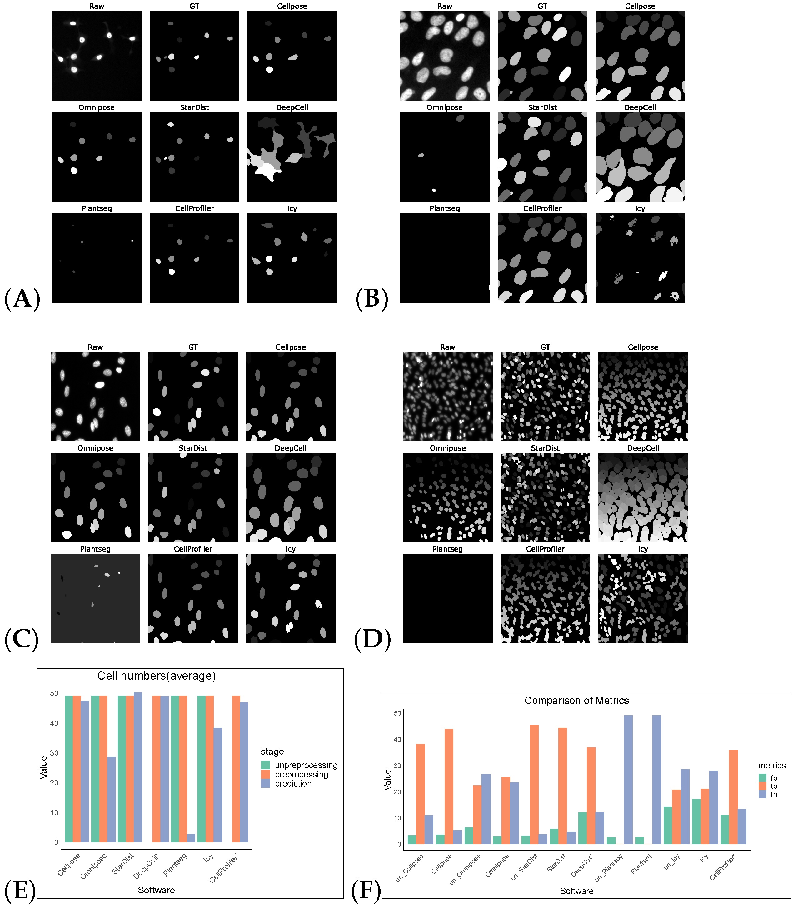 Software Tools for 2D Cell Segmentation