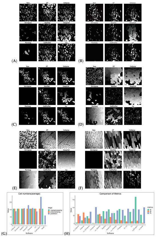 Software Tools for 2D Cell Segmentation