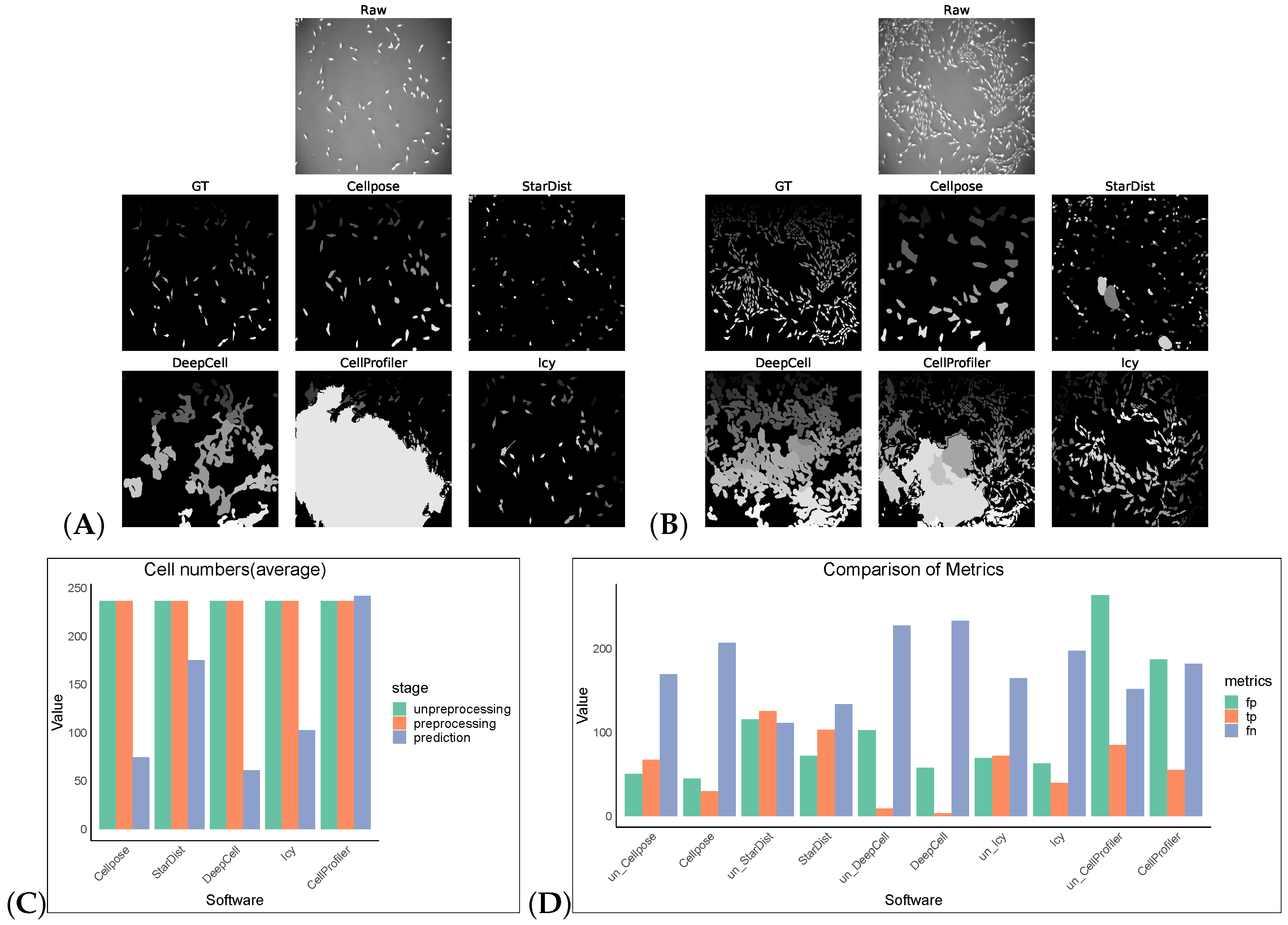 Software Tools for 2D Cell Segmentation