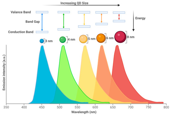 Cells | Free Full-Text | Quantum Dot Imaging Agents: Haematopoietic ...