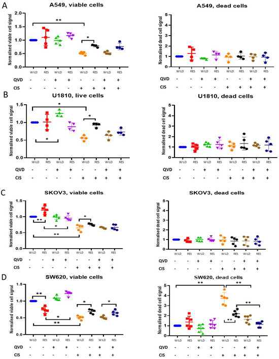 Cancer Drug Resistance: Targeting Proliferation or Programmed Cell Death