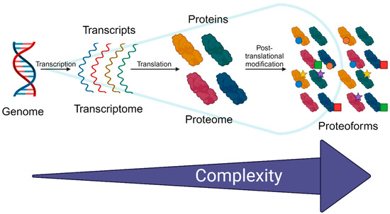 Mass Spectrometry Strategies for O-Glycoproteomics