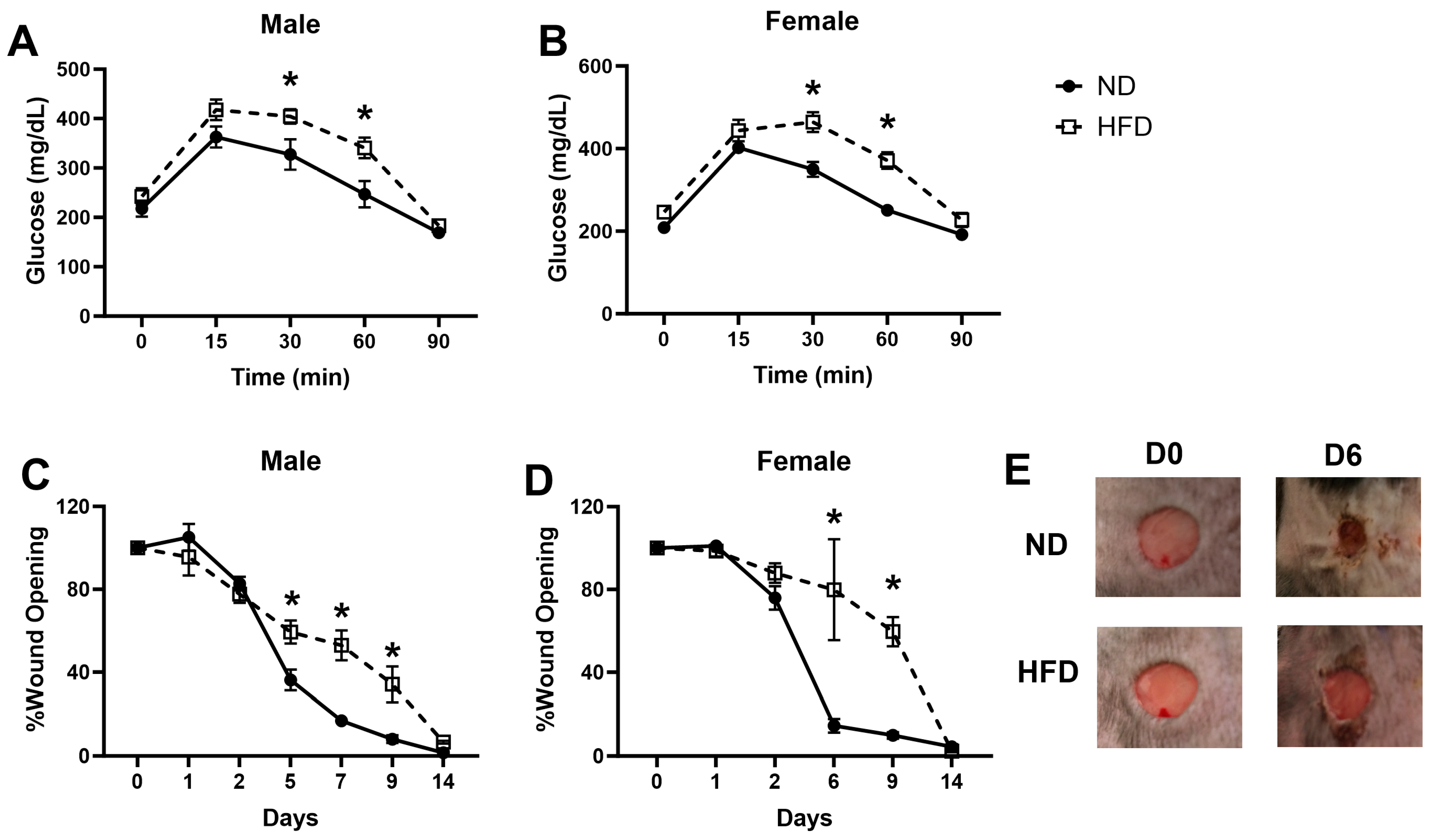 Diet-Induced Obesity Increases Monocyte/Macrophage Proliferation during ...