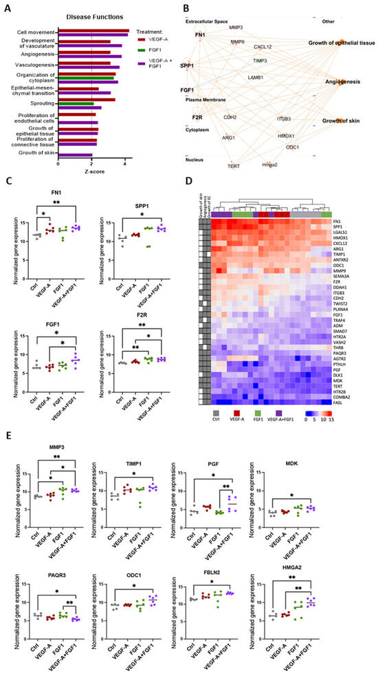 The Combination of Vascular Endothelial Growth Factor A (VEGF-A) and ...