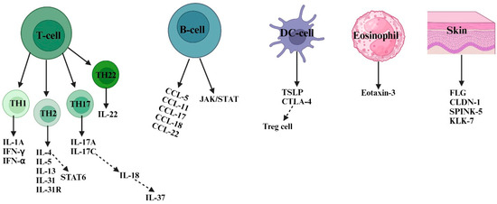 Unraveling Atopic Dermatitis: Insights into Pathophysiology ...