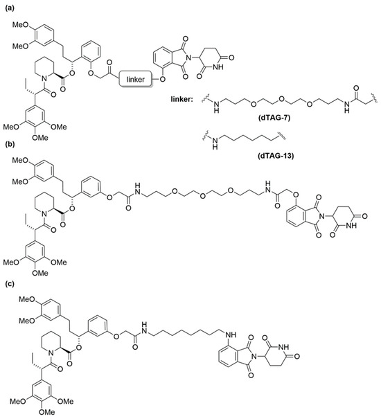 Harmony of Protein Tags and Chimeric Molecules Empowers Targeted ...