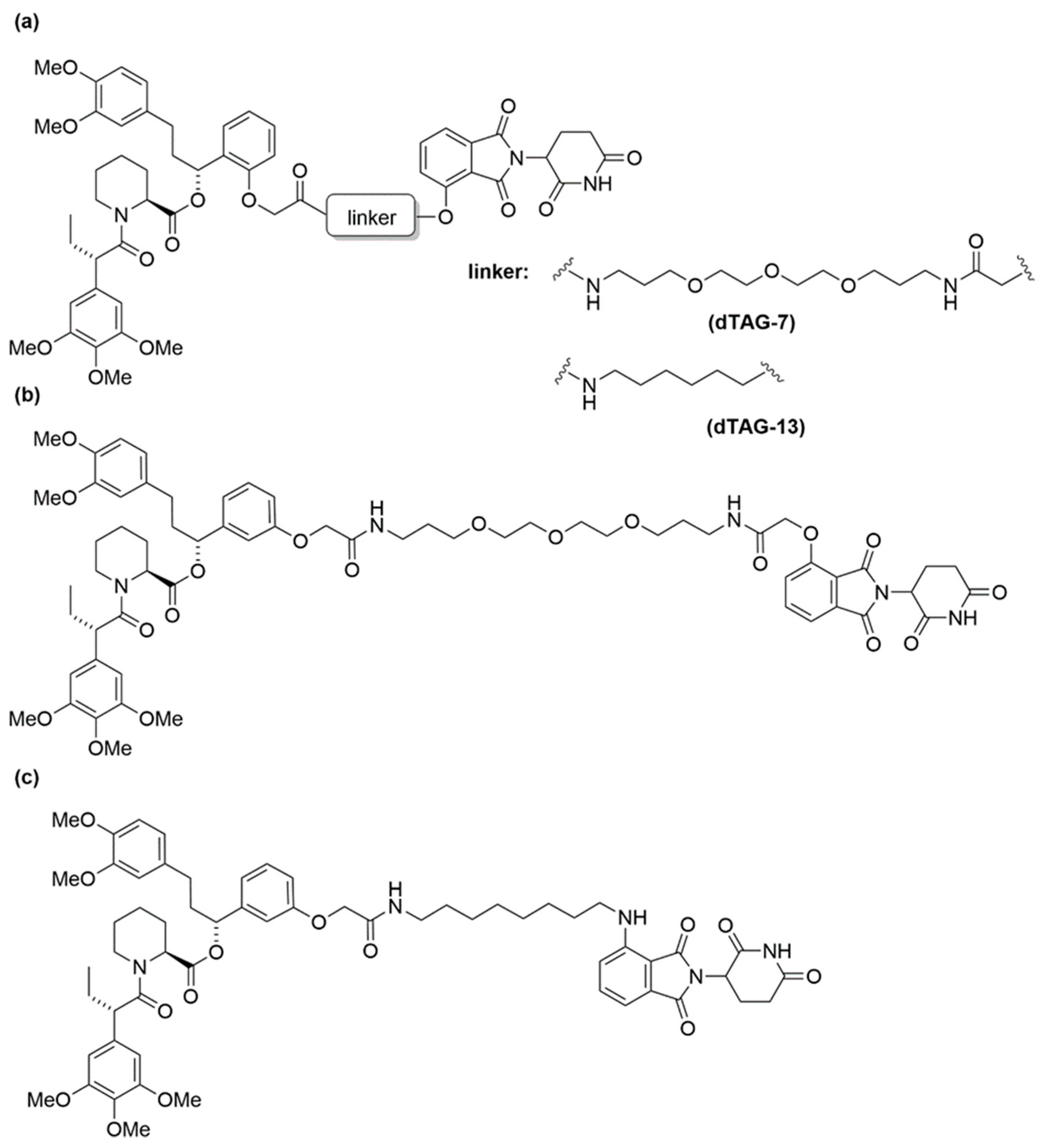 Harmony of Protein Tags and Chimeric Molecules Empowers Targeted ...