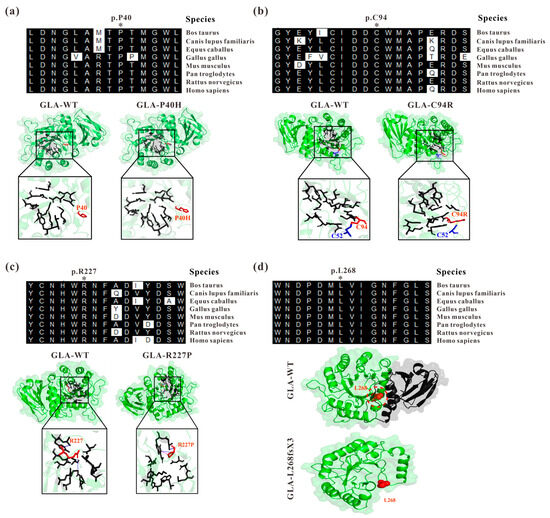 GLA Mutations Suppress Autophagy and Stimulate Lysosome Generation in ...