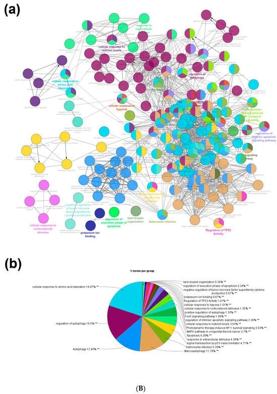 Cisplatin and Starvation Differently Sensitize Autophagy in Renal ...