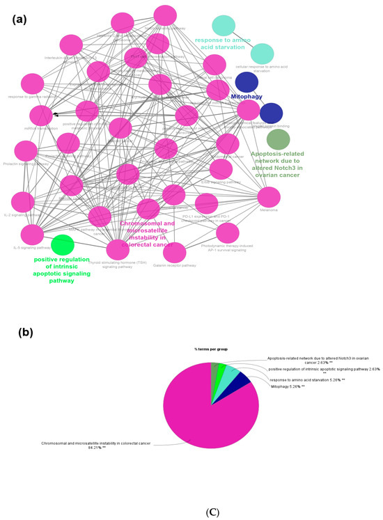 Cisplatin and Starvation Differently Sensitize Autophagy in Renal ...