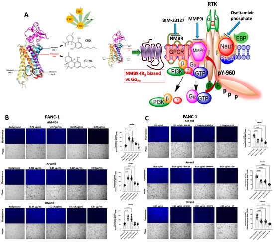 Functional Selectivity of Cannabinoid Type 1 G Protein-Coupled Receptor ...