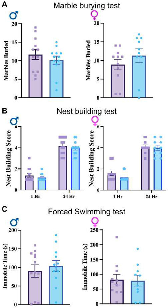 The Exon Junction Complex Factor RBM8A in Glial Fibrillary Acid Protein ...