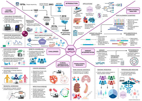 Implementing Whole Genome Sequencing (WGS) in Clinical Practice ...