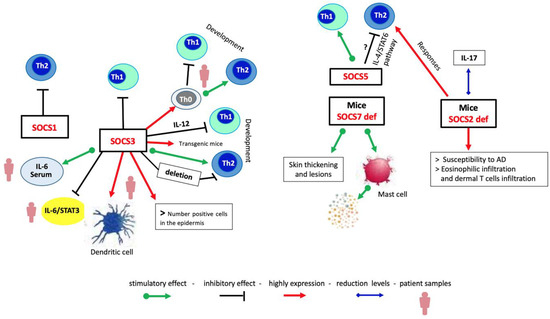 Inflammatory Skin Diseases: Focus on the Role of Suppressors of ...