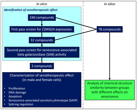 Repurposing Drugs for Senotherapeutic Effect: Potential Senomorphic ...