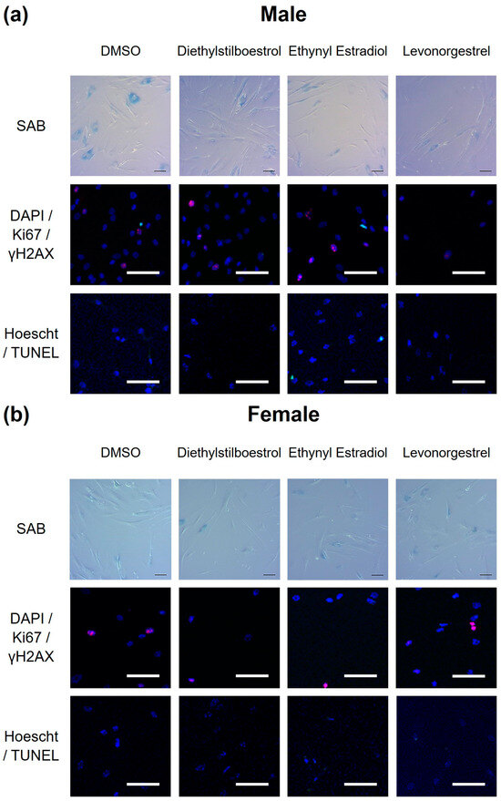 Repurposing Drugs for Senotherapeutic Effect: Potential Senomorphic ...