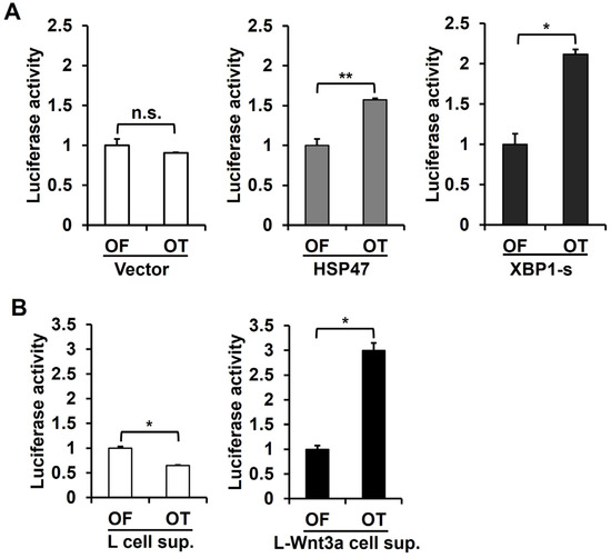 HSP47 Increases the Expression of Type I Collagen in Fibroblasts ...