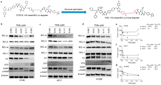 PROTAC-Mediated Dual Degradation of BCL-xL and BCL-2 Is a Highly ...