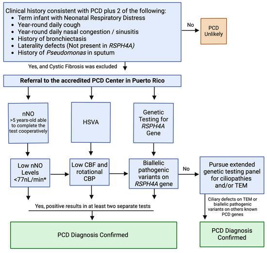 Advancing Primary Ciliary Dyskinesia Diagnosis through High-Speed Video ...