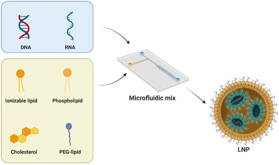 Preclinical Advances in LNP-CRISPR Therapeutics for Solid Tumor Treatment