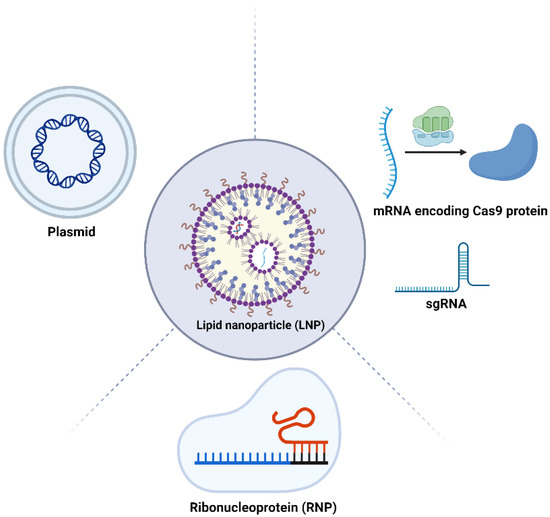 Preclinical Advances in LNP-CRISPR Therapeutics for Solid Tumor Treatment