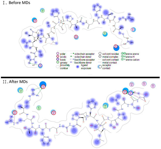 Unraveling Desmin’s Head Domain Structure and Function