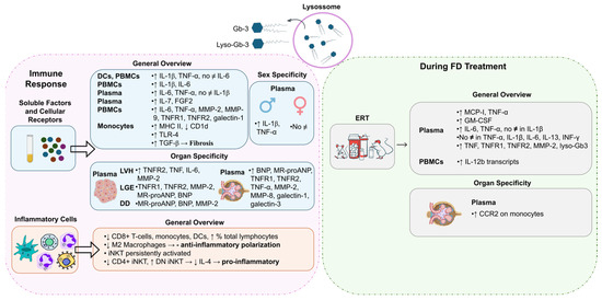 Cells | Free Full-Text | Inflammation and Exosomes in Fabry Disease ...