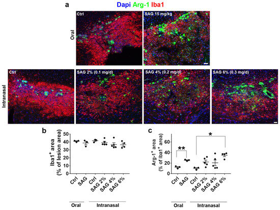 The Smoothened agonist SAG Modulates the Male and Female Peripheral ...