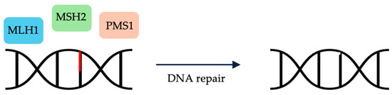 Somatic Mutations in Surgically Treated Colorectal Liver Metastases: An ...