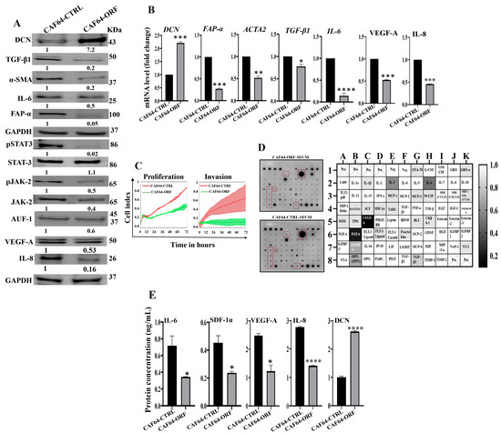 Decorin (DCN) Downregulation Activates Breast Stromal Fibroblasts and ...
