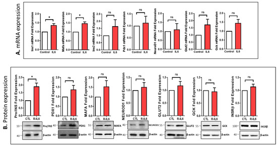 Investigating the Impact of IL6 on Insulin Secretion: Evidence from INS ...