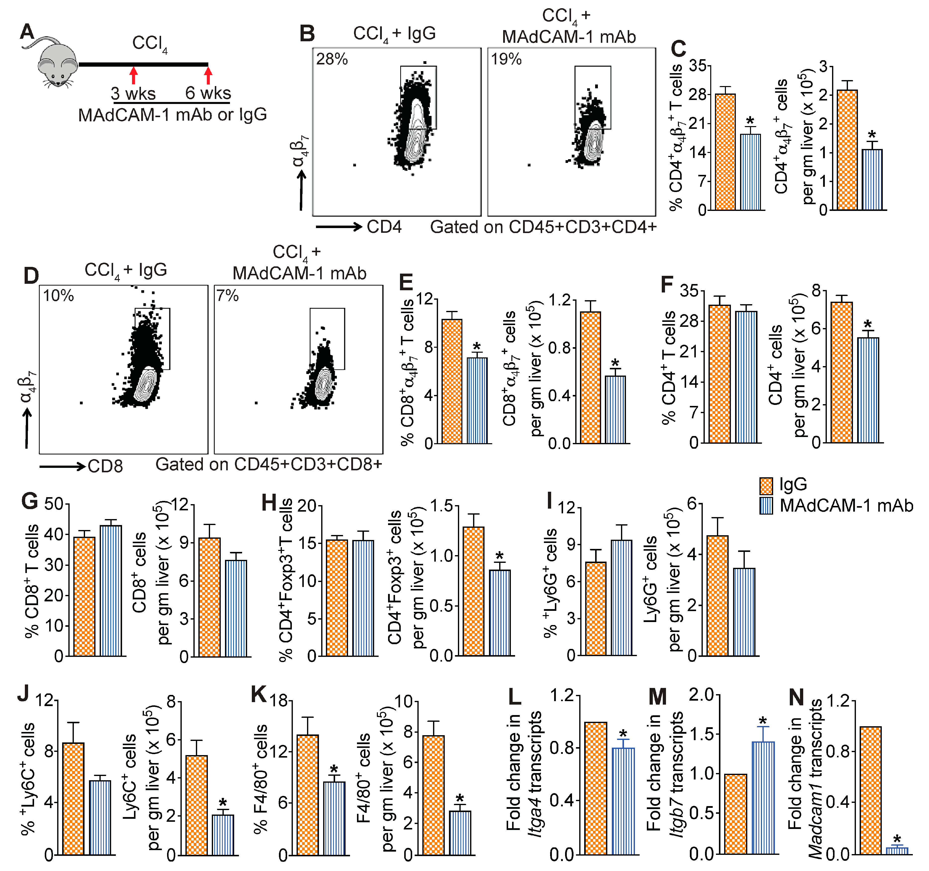 Selective Targeting of α4β7/MAdCAM-1 Axis Suppresses Fibrosis Progression by Reducing ...