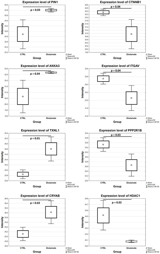 Neuroretinal Cell Culture Model as a Tool for the Development of New ...