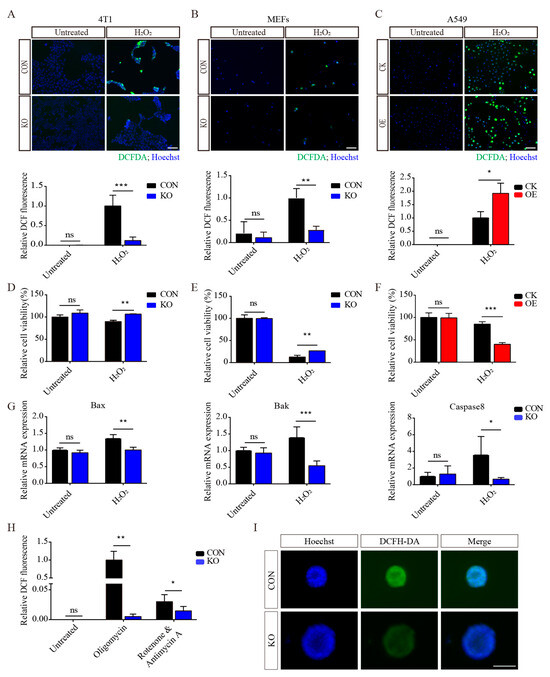 Immunoglobulin Superfamily Containing Leucine-Rich Repeat (ISLR) Serves ...
