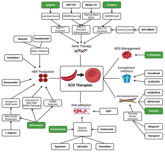 Current and Future Therapeutics for Treating Patients with Sickle Cell ...