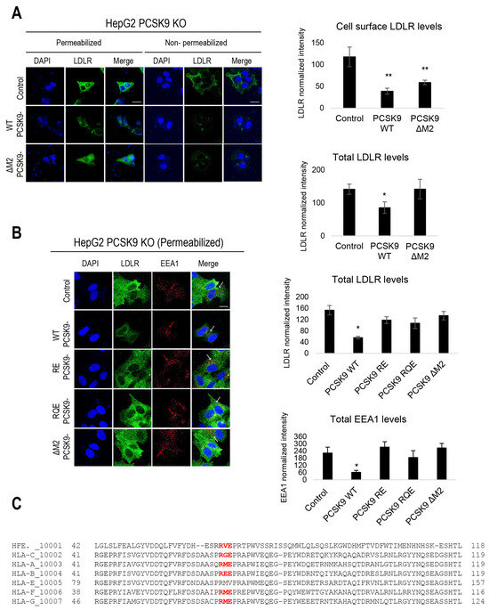 Cells | Free Full-Text | Insights into PCSK9-LDLR Regulation and ...