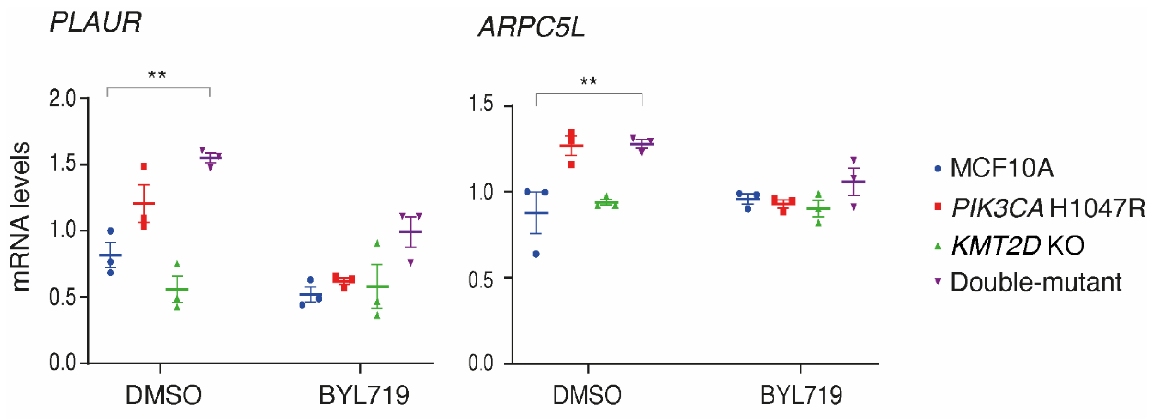 PI 3-Kinase and the Histone Methyl-Transferase KMT2D Collaborate to Induce Arp2/3-Dependent ...