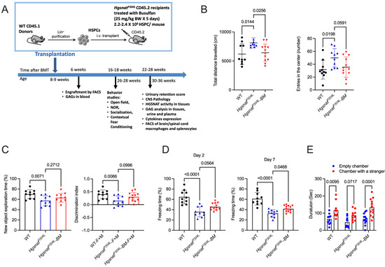 Heterologous HSPC Transplantation Rescues Neuroinflammation and ...