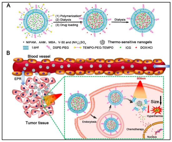 Hybrid Nanogel Drug Delivery Systems: Transforming the Tumor ...