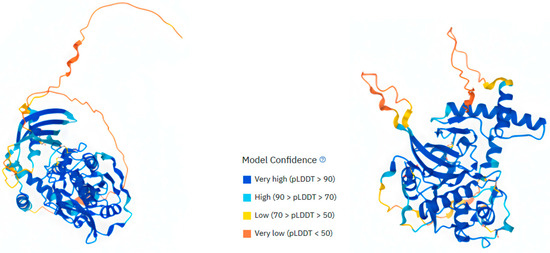 Unveiling the Roles of Cysteine Proteinases F and W: From Structure to ...