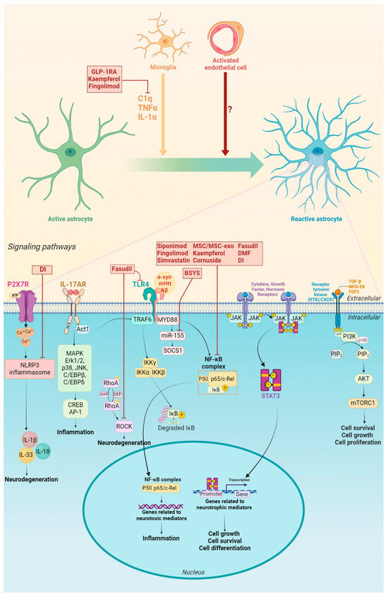 Cells | Free Full-Text | Neurodegenerative Diseases: Unraveling the ...